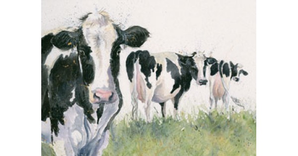 Kay Johns - Cheeky Girls (Dairy Cows)