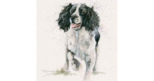 Kay Johns - Jasper (Springer)