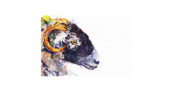 Kate Stephens - Swaledale