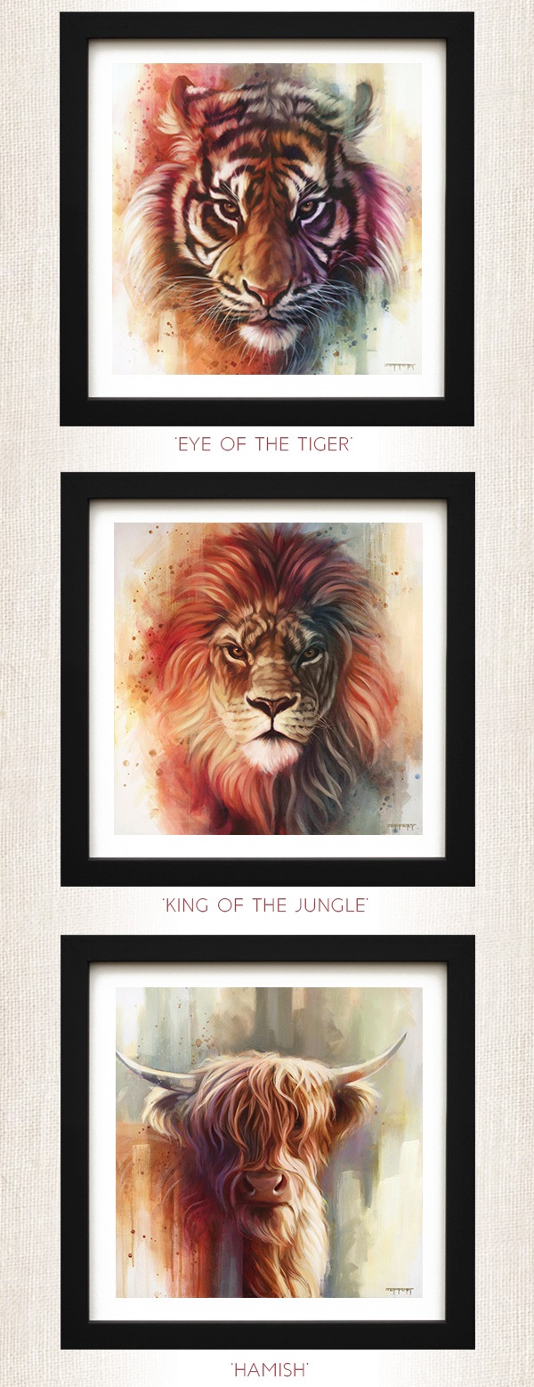 Ben Jeffery - New 'Into the Wild' Collection - Available Now